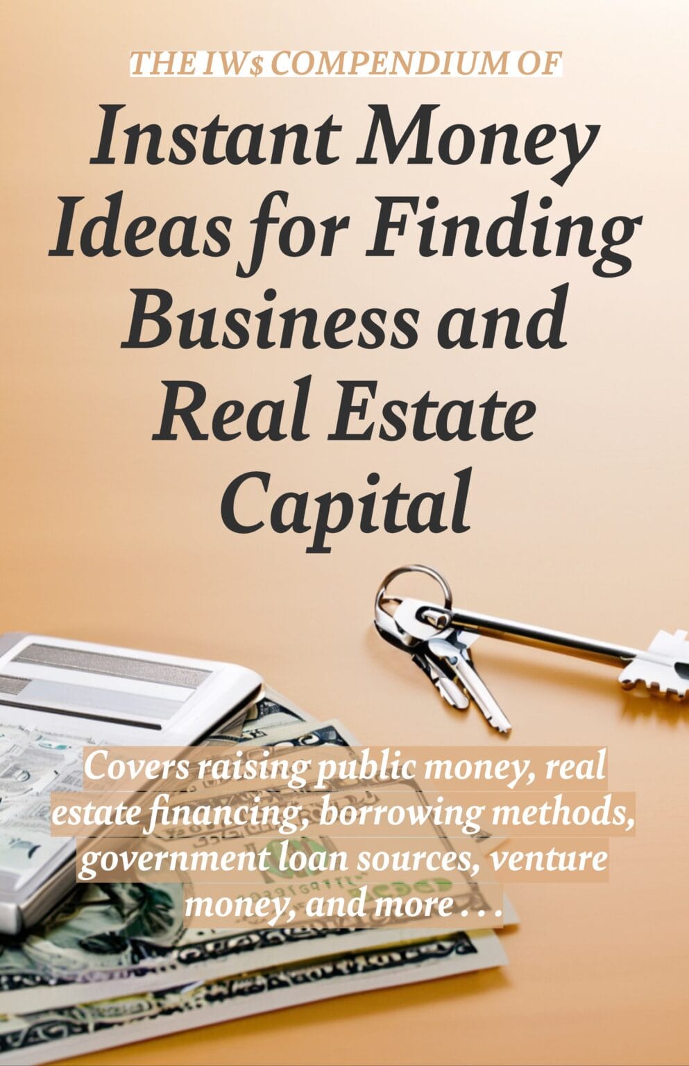 IWS-22 : The IWS Compendium of Instant Money Ideas for Finding Business ...