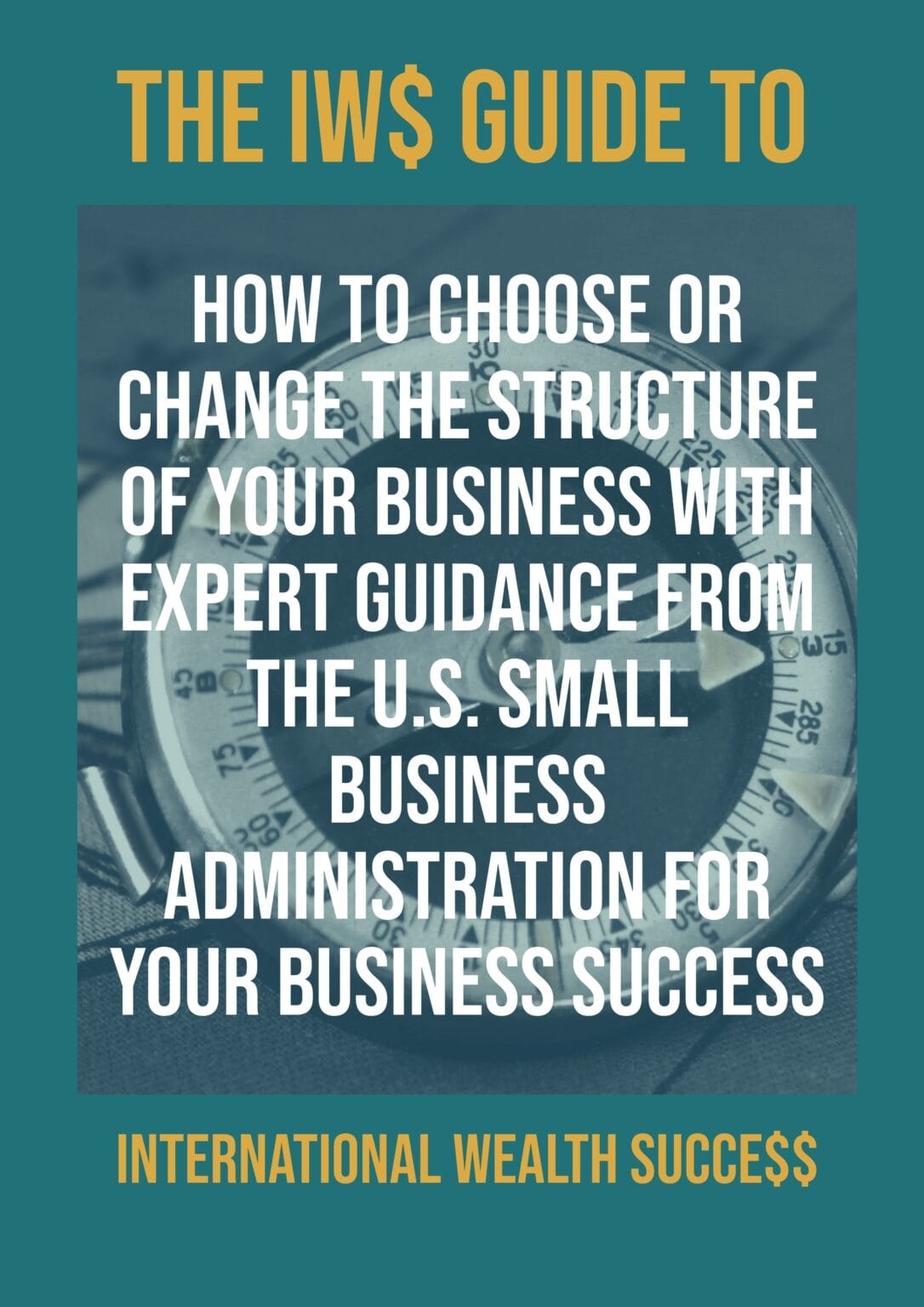 The IWS Guide to How to Choose or Change the Structure of Your Business